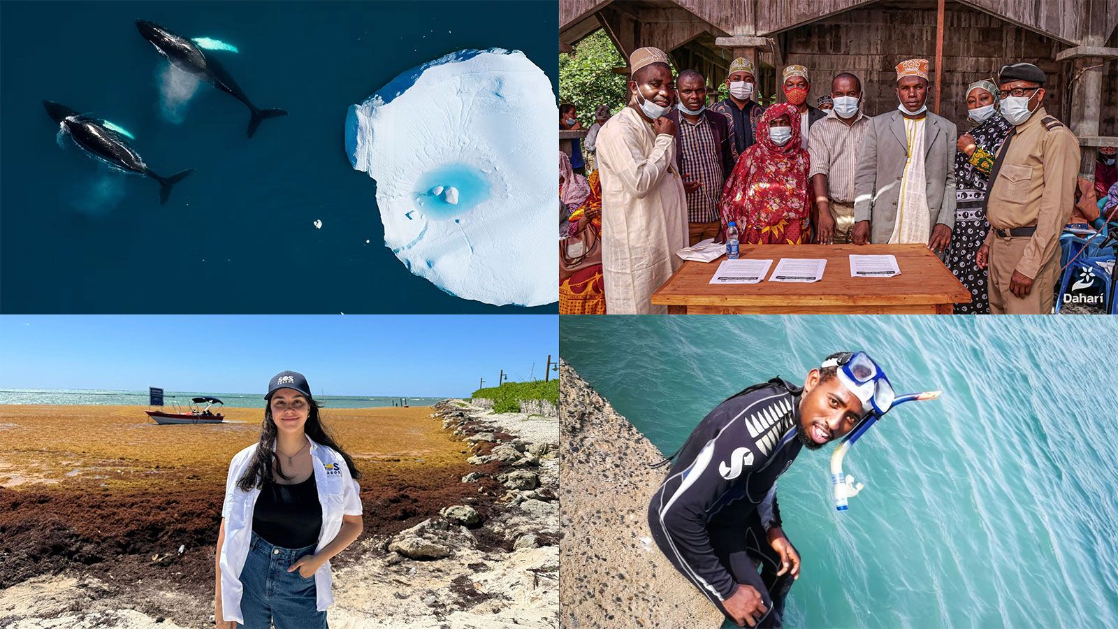 Meet the winners of the Ocean Awards 2026
